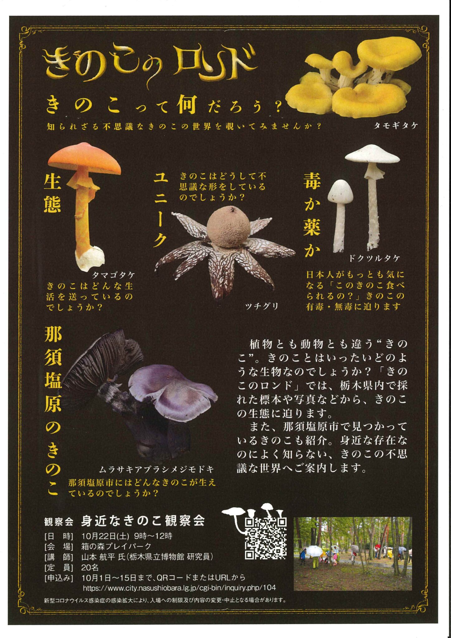 きのこのロンド開催（栃木県立地域移動博物館)